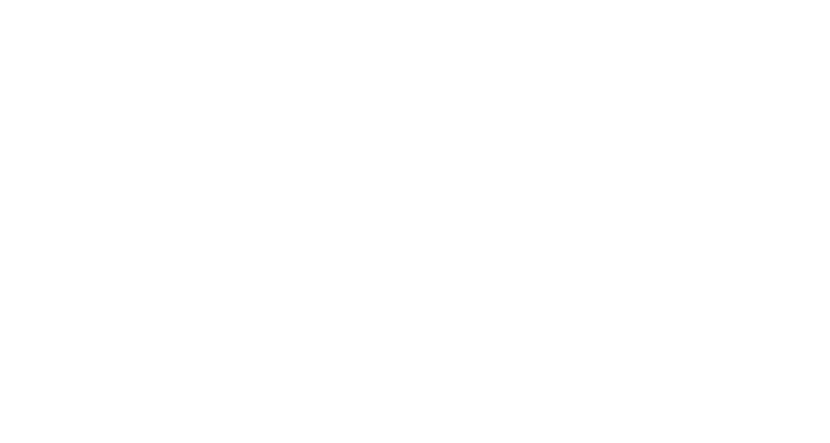 The Pacific Financial Group History